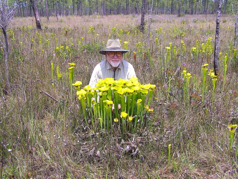 Member profile: Dr. Loran Anderson - Florida Wildflower Foundation
