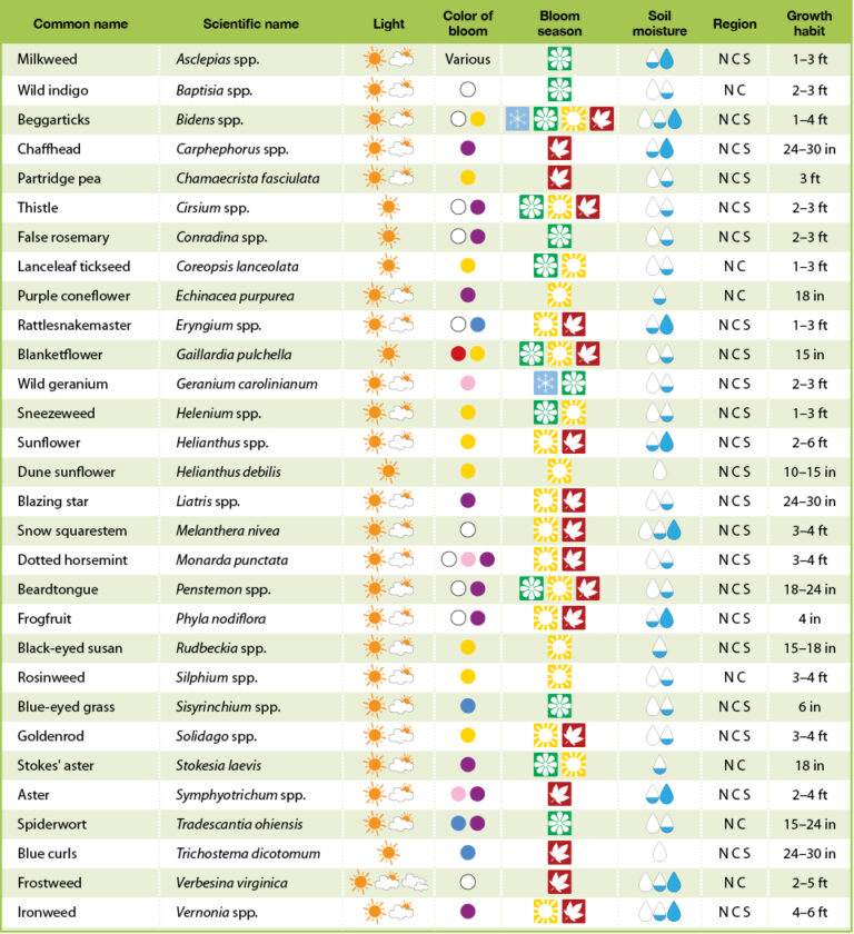 Attracting Bees - Florida Wildflower Foundation