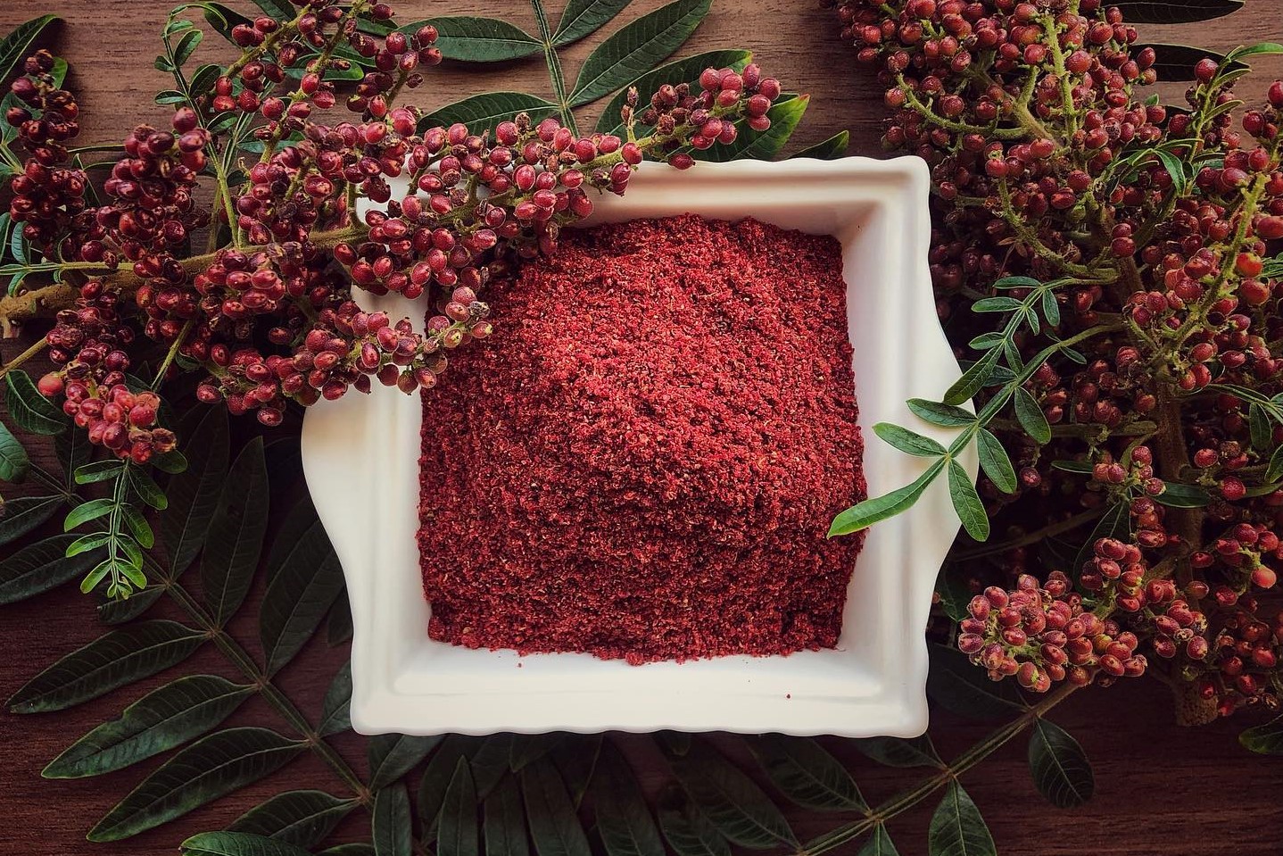 Winged sumac - Florida Wildflower Foundation