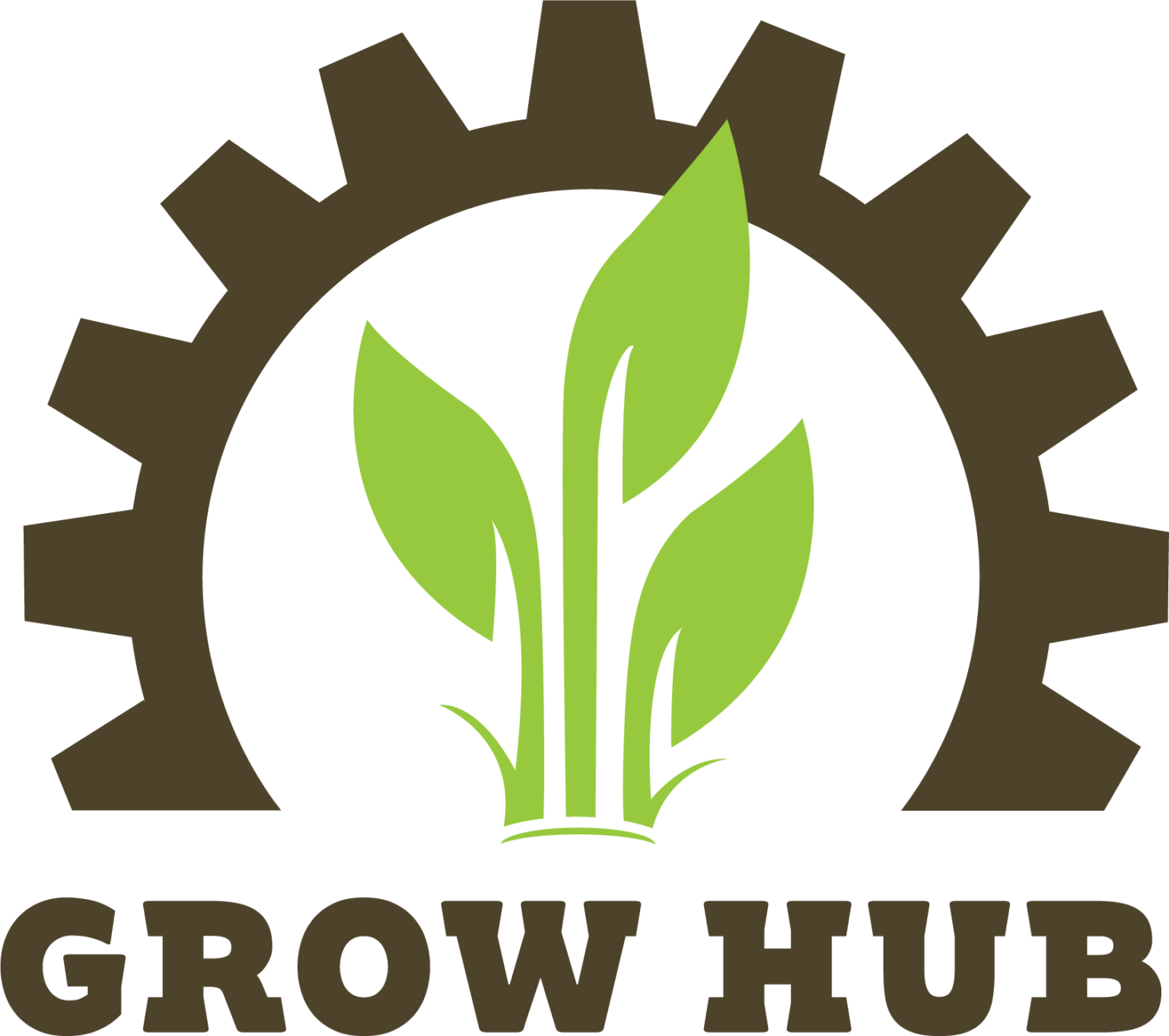 Bee City Gainesville—Grow Hub Native Plant Garden - Florida Wildflower Foundation