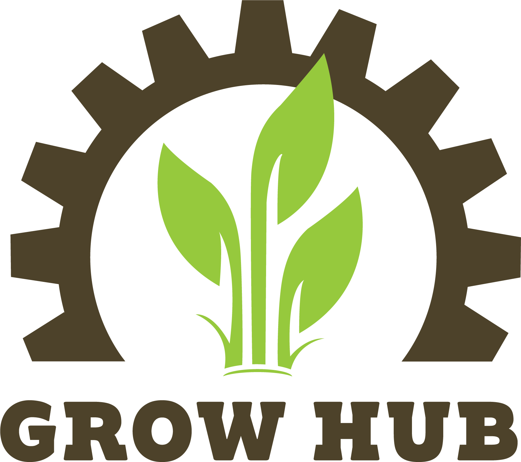 Bee City Gainesville—Grow Hub Native Plant Garden - Florida Wildflower ...
