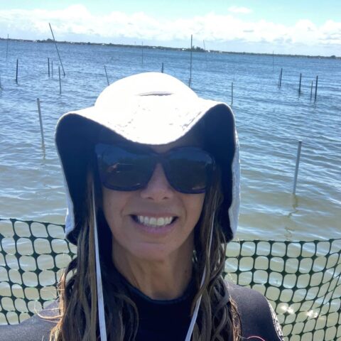 WEBINAR — From Beaches to Bays — Native Plants for Florida's Coastal ...