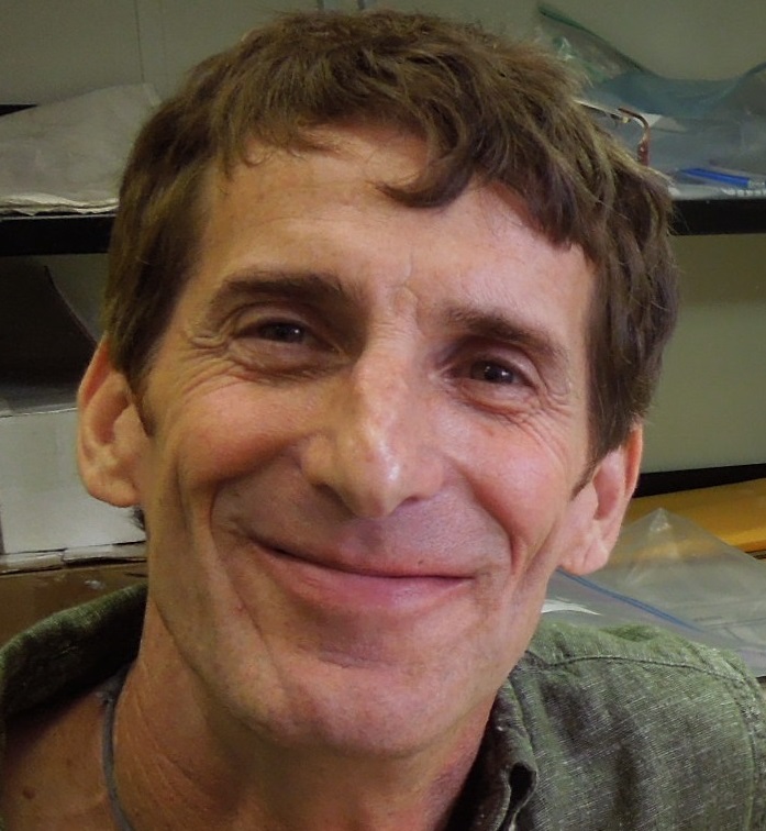 WEBINAR — Wildflowers and Weeds: Exploring What Native Means - Florida ...