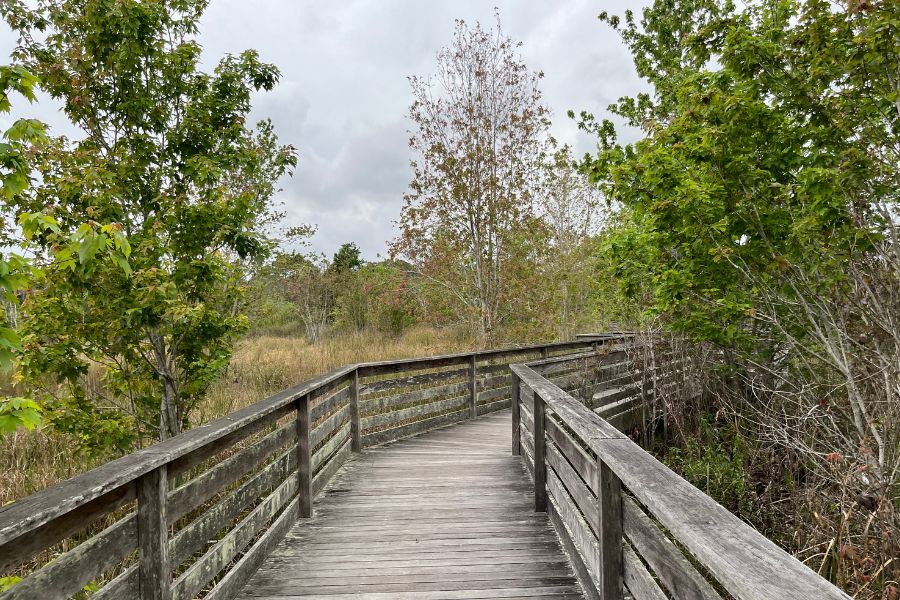 Events from June 8 – April 20 – Florida Wildflower Foundation