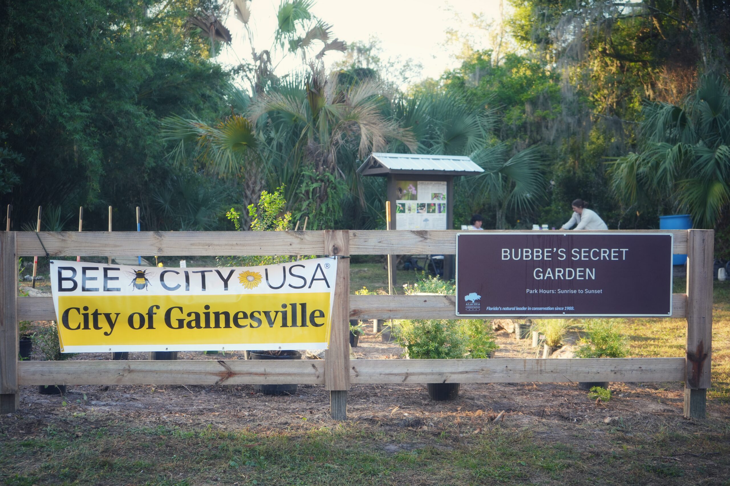 Bee City Gainesville—Bubbe's Secret Garden - Florida Wildflower Foundation